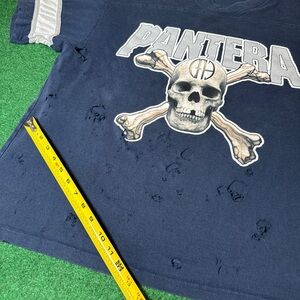 Pantera | Shirts | Vintage 9s Pantera Rare Perfectly Distressed Band ...